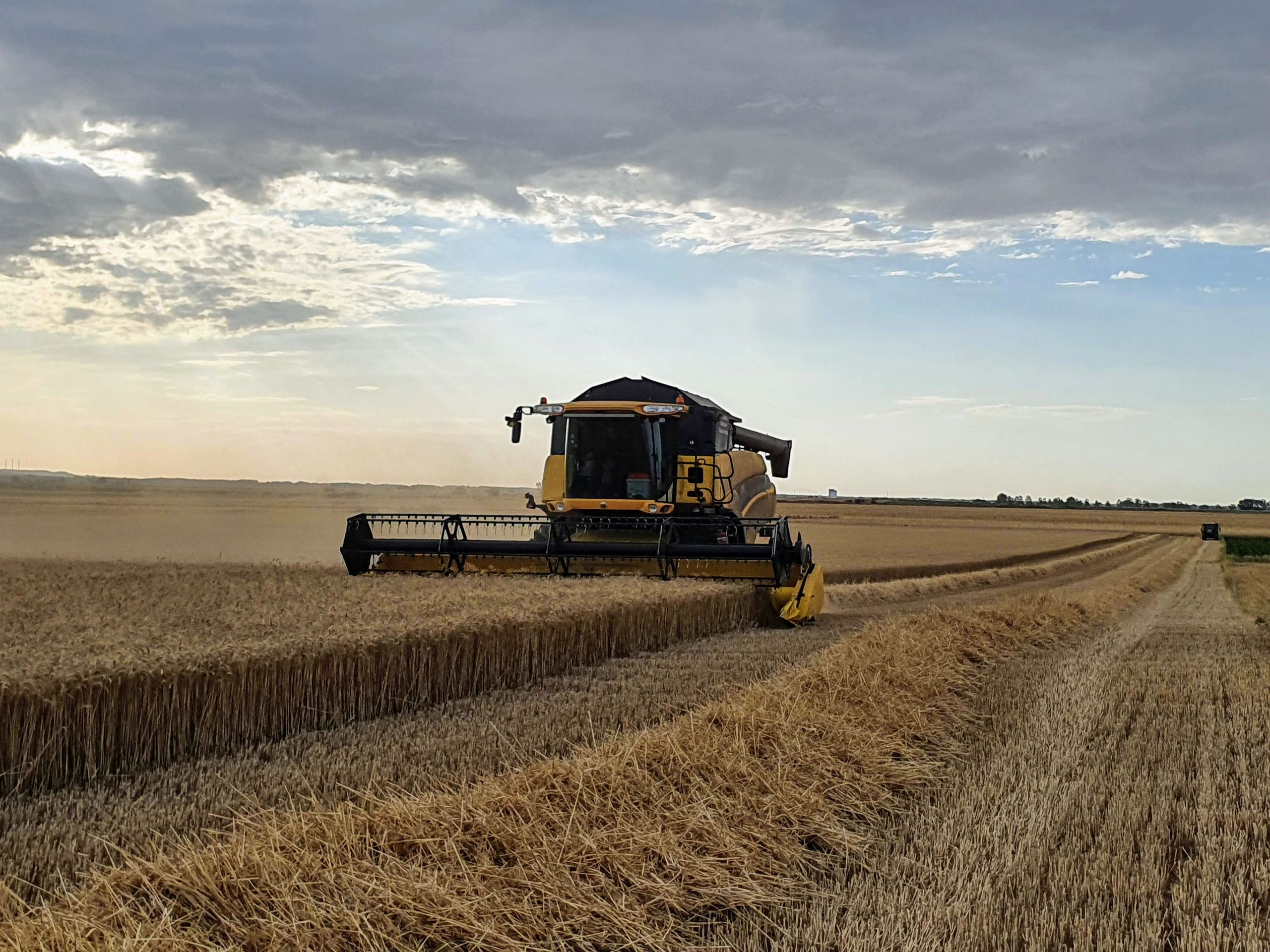 COAG pronostica una cosecha de cereales en Castilla y León de 8,1 ...